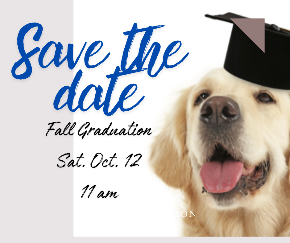 Home - KSDS Assistance Dogs, Inc.