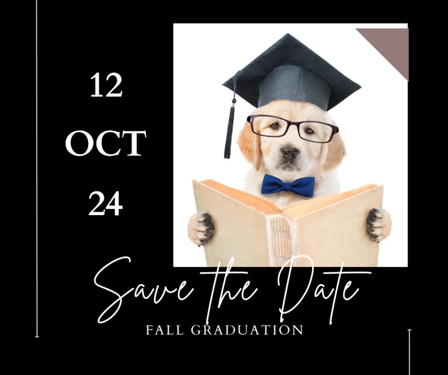 Home - KSDS Assistance Dogs, Inc.