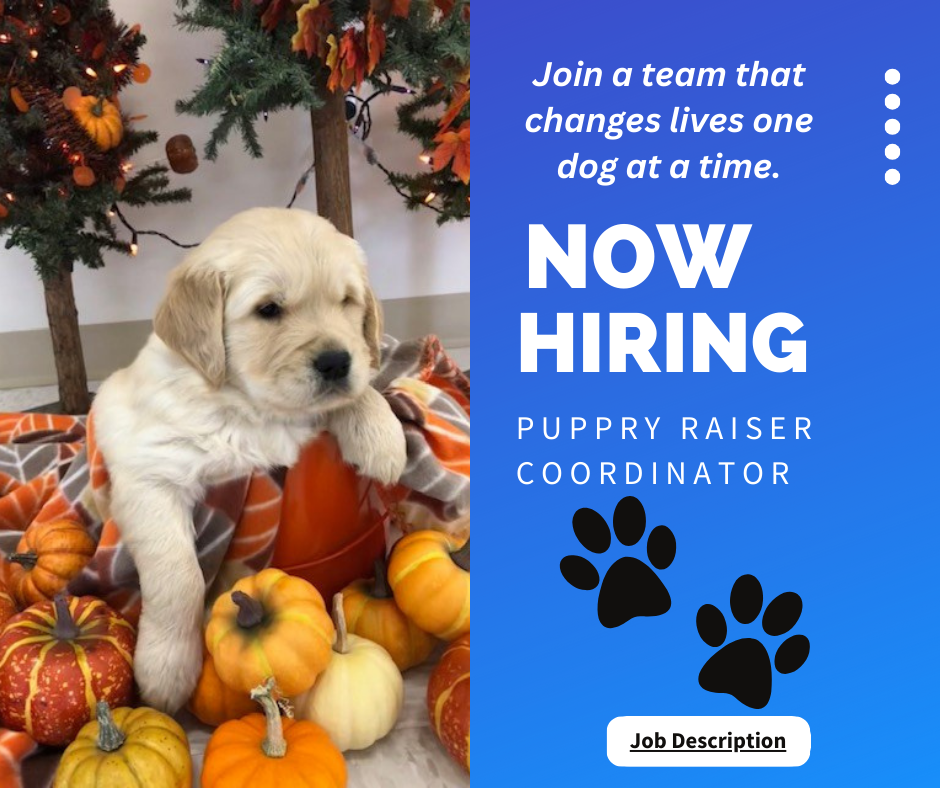 Home - KSDS Assistance Dogs, Inc.