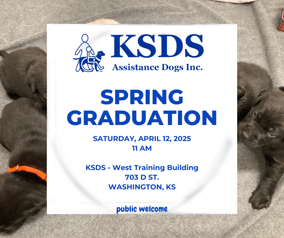 Home - KSDS Assistance Dogs, Inc.