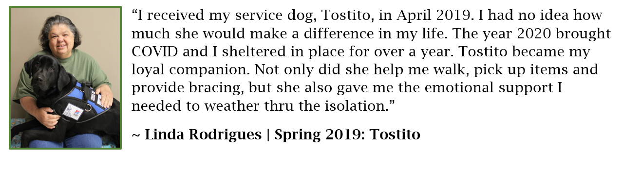 Home - KSDS Assistance Dogs, Inc.