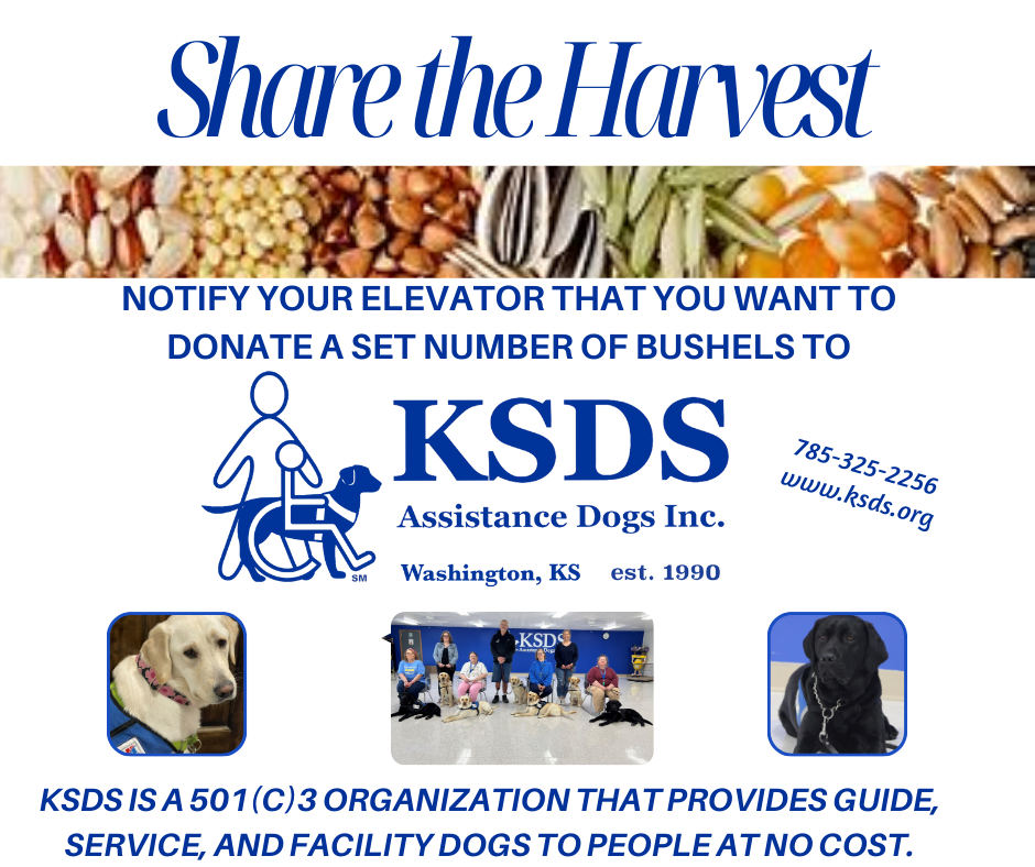 Home - KSDS Assistance Dogs, Inc.