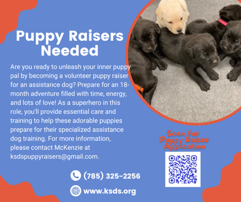 Home - KSDS Assistance Dogs, Inc.