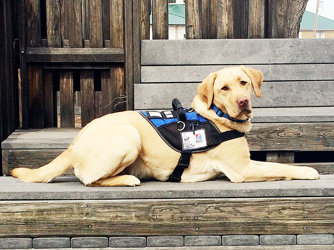 Staff & Board - KSDS Assistance Dogs, Inc.