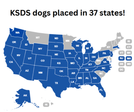 Home - KSDS Assistance Dogs, Inc.